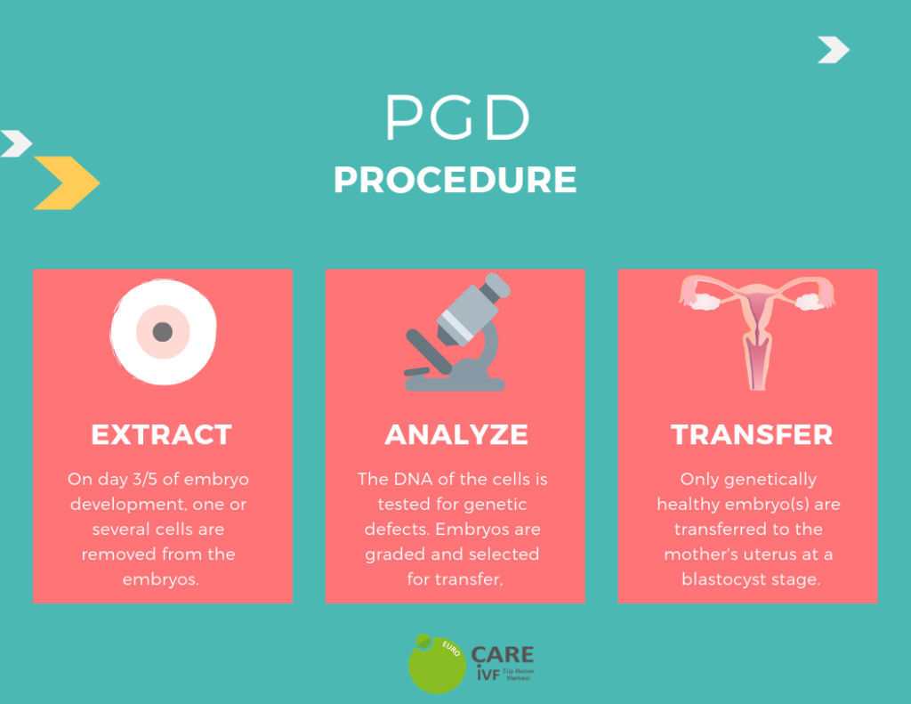 How to Improve IVF Success with PGS and PGD | euroCARE IVF Center